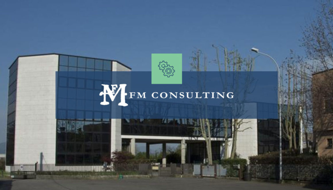 Archivi Portfolios - FM Consulting