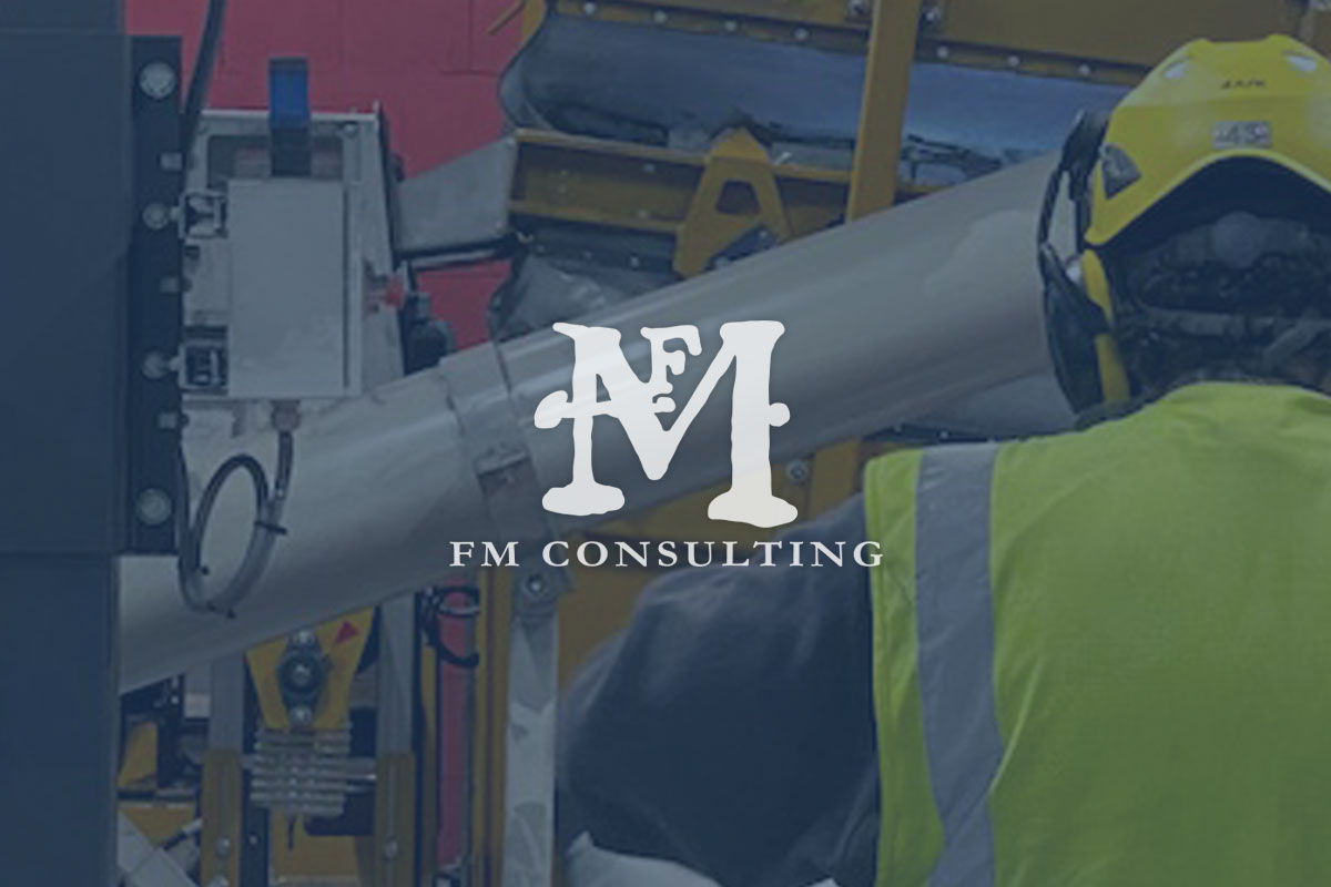 Michele Carta Mantiglia per il settore ambientale - FM Consulting